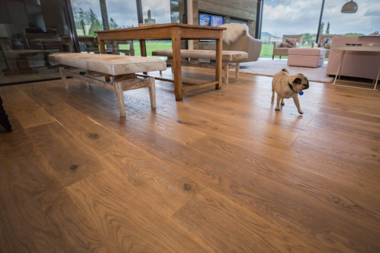 Commercial - Focus Photography