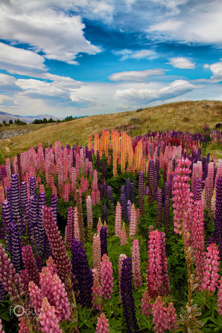 Landscape - Focus Photography