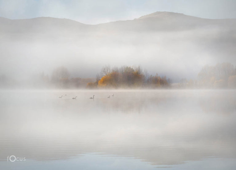 Landscape - Focus Photography